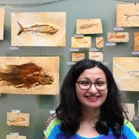 Maria Mankarious – Medium