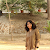 Ishani Phadke – Medium