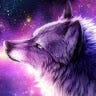 Galaxy Wolf – Medium