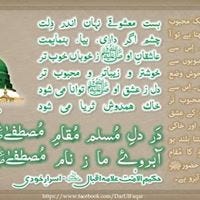 Sadia Butt – Medium