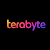 TERABYTE TECHNOLOGIES – Medium