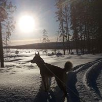 Johan Andersen – Medium