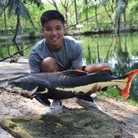 Stephen Bao Nguyen – Medium