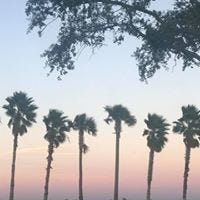 Emily Beyer – Medium