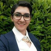 Nasim Fallahi – Medium