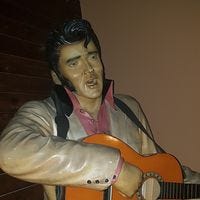 Elvis Parsley – Medium