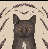 Isabel Monteiro – Medium