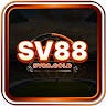 SV88 – Medium