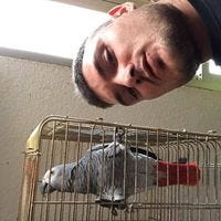 Dian Stoychev Boychev – Medium