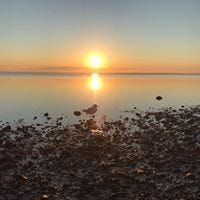 Ross Palmer – Medium