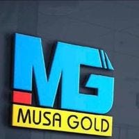 Musa Gold on Medium curated some lists