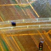 Timothy John Anderson – Medium