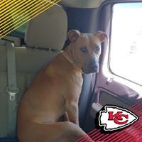 Tasha Baker – Medium