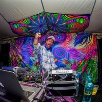 Peter Donaldson – Medium