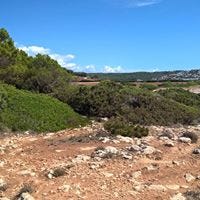 Rózsa Réka – Medium