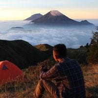 Afandi – Medium