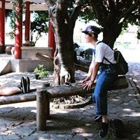 Yuki Chen – Medium