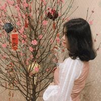 Kim Ngân – Medium