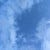 album leaves – Medium