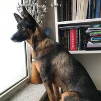 Tuul Anujin – Medium