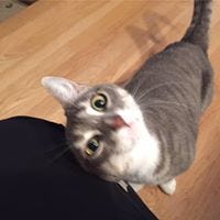 Helen Shan – Medium