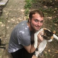 Veneteanu Andrei – Medium