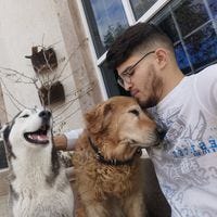 David Hermosillo López – Medium