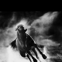 Peggy Barber – Medium