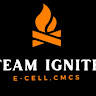 Ecell Cmcs – Medium