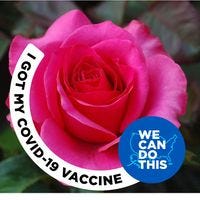 Toni Lynn – Medium