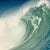 Shane Hoffmann – Medium