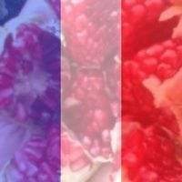 Dominique Sherter – Medium