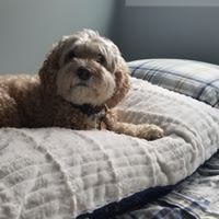 About – Kevin Coderre – Medium