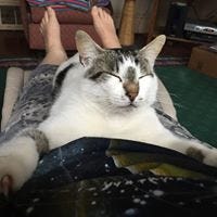 Debbie A Brubaker – Medium