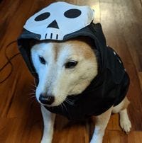 Felicity Wilson – Medium