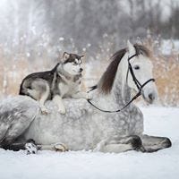 James C. Cuellar-Hatcher – Medium