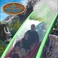 About – Troy Murphy – Medium