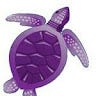 About – PURPLE TURTLES – Medium