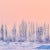 Nicole Xiang – Medium