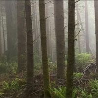 Andy White – Medium