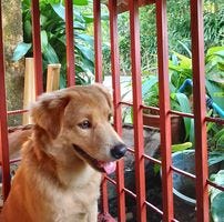 Ruvana Hyacinth Docoy on Medium curated some lists