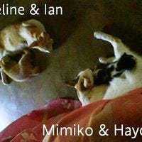 Mayette Jacinto – Medium