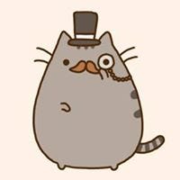 Shina Foo – Medium