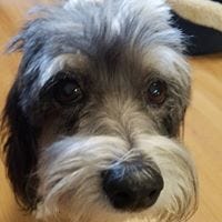 David McGrath – Medium