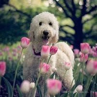 Ruby Jeanne Taylor – Medium