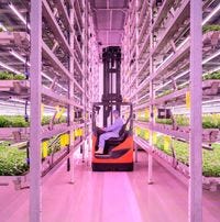 Ryan Sheridan – Medium