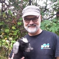 Marc Robertson – Medium