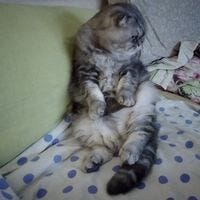 Andrei Shuba – Medium