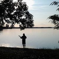 John Schultz – Medium