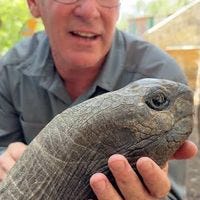 Mark Noble – Medium